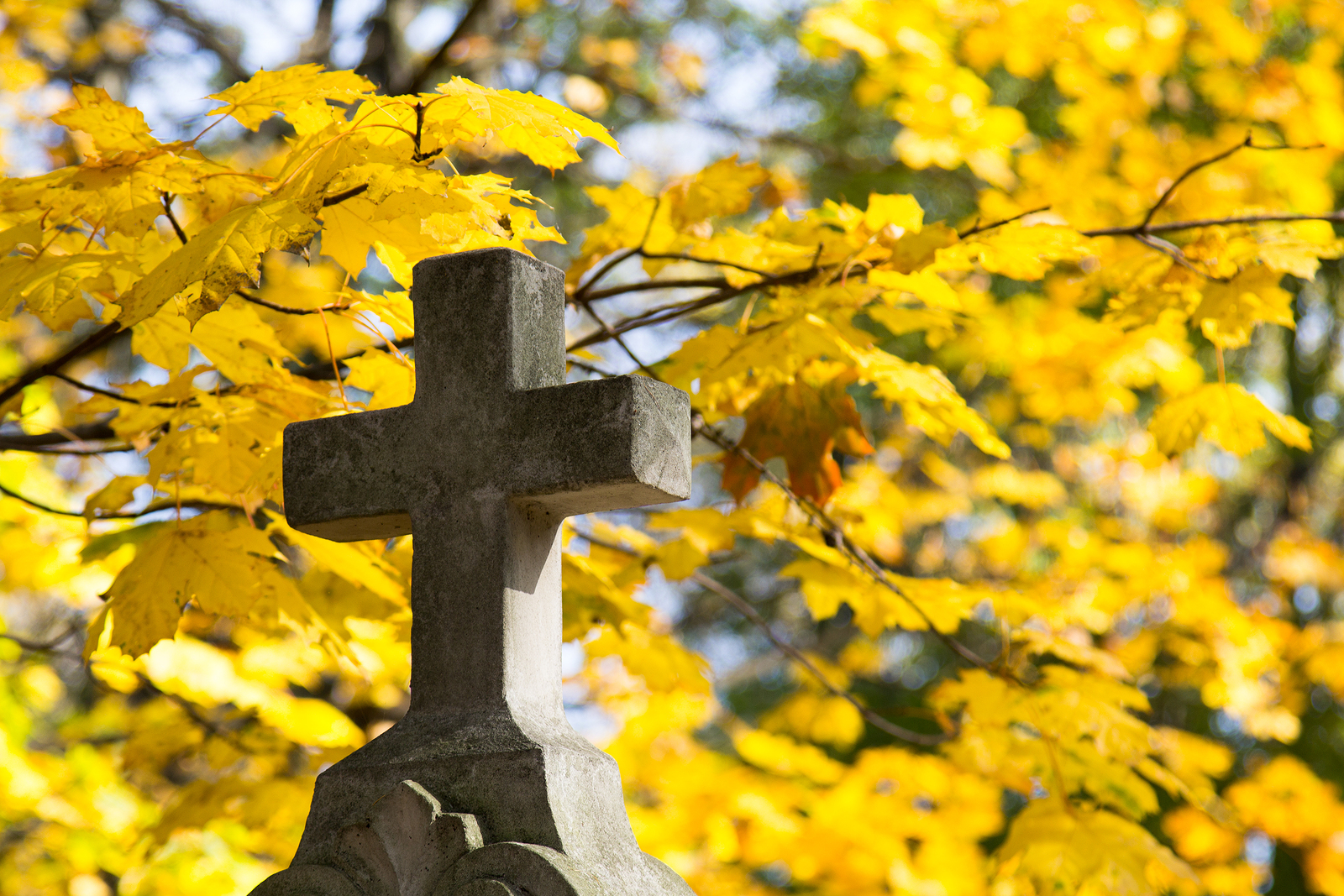 How To Put Together A Meaningful Memorial The Comfort Company Blog How To Put Together A Meaningful Memorial The Comfort Company Blog